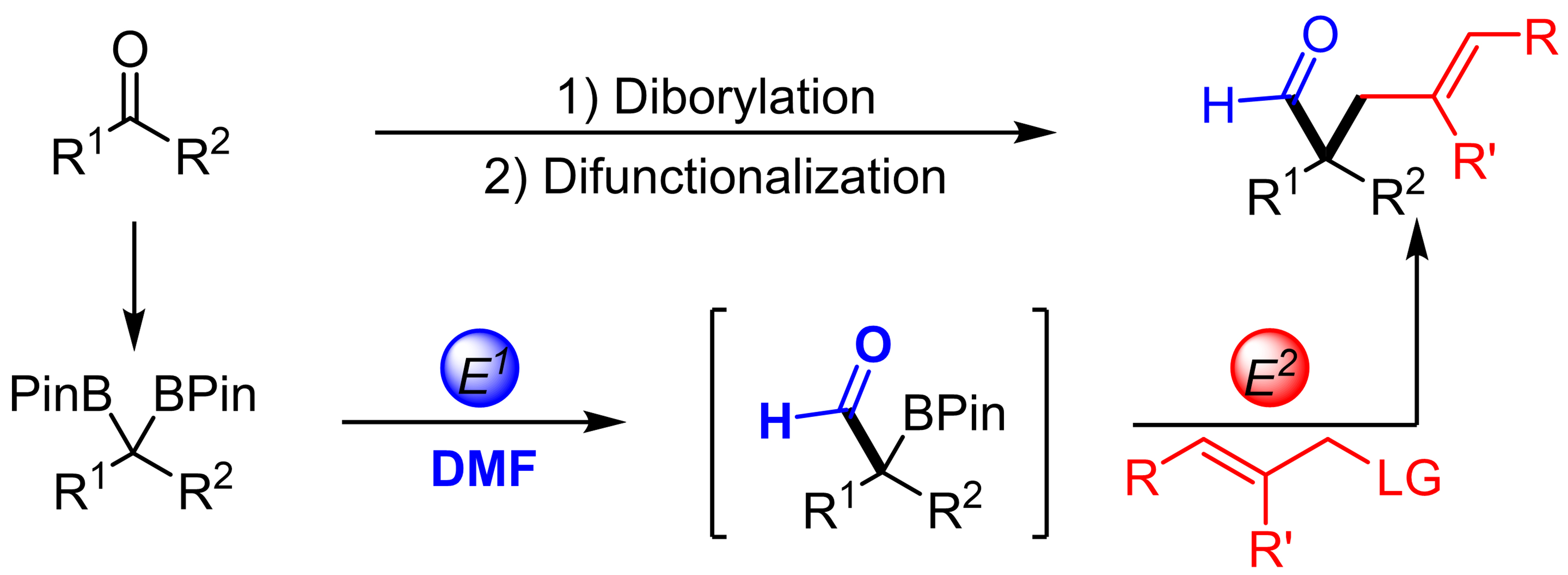 Publications-Tao XU Group-同济大学徐涛课题组